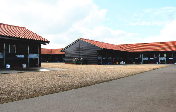 Penny Farm | Pre-Trainers of racehorses in Newmarket